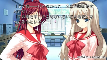 To Heart 2 DX Plus - release date, videos, screenshots, reviews on RAWG