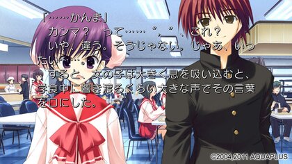 To Heart 2 DX Plus - release date, videos, screenshots, reviews on RAWG