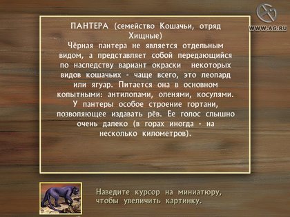Агентство "Котопес". Остров доктора Крысарди - release date, videos ...