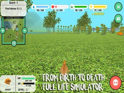 Chick Simulator screenshots • RAWG
