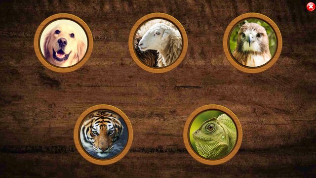 All Animals Pairs Memory Game - release date, videos, screenshots ...