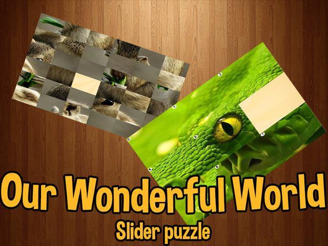 Our Wonderful World (itch) - release date, videos, screenshots, reviews ...